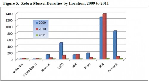 Invasive zebra mussels disappear from St. Croix River – St. Croix 360