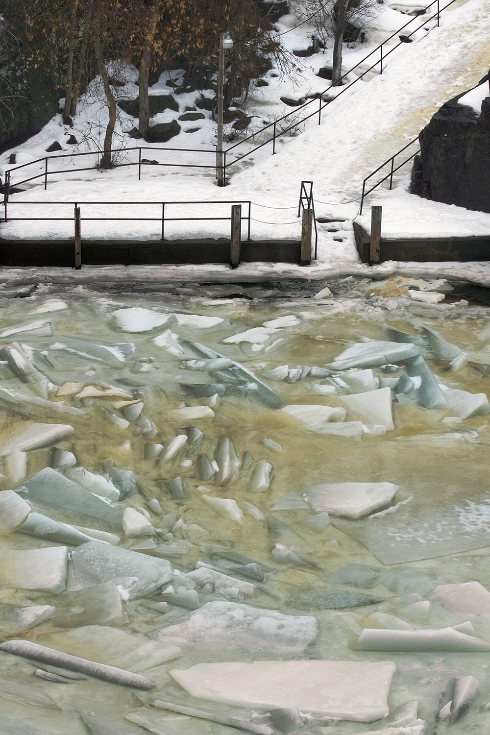 Photo by Ryan Rodgers – St. Croix 360