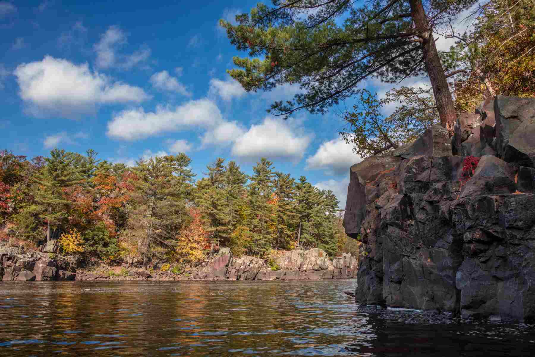 Woodland owners and managers invited to St. Croix Forestry Conference ...