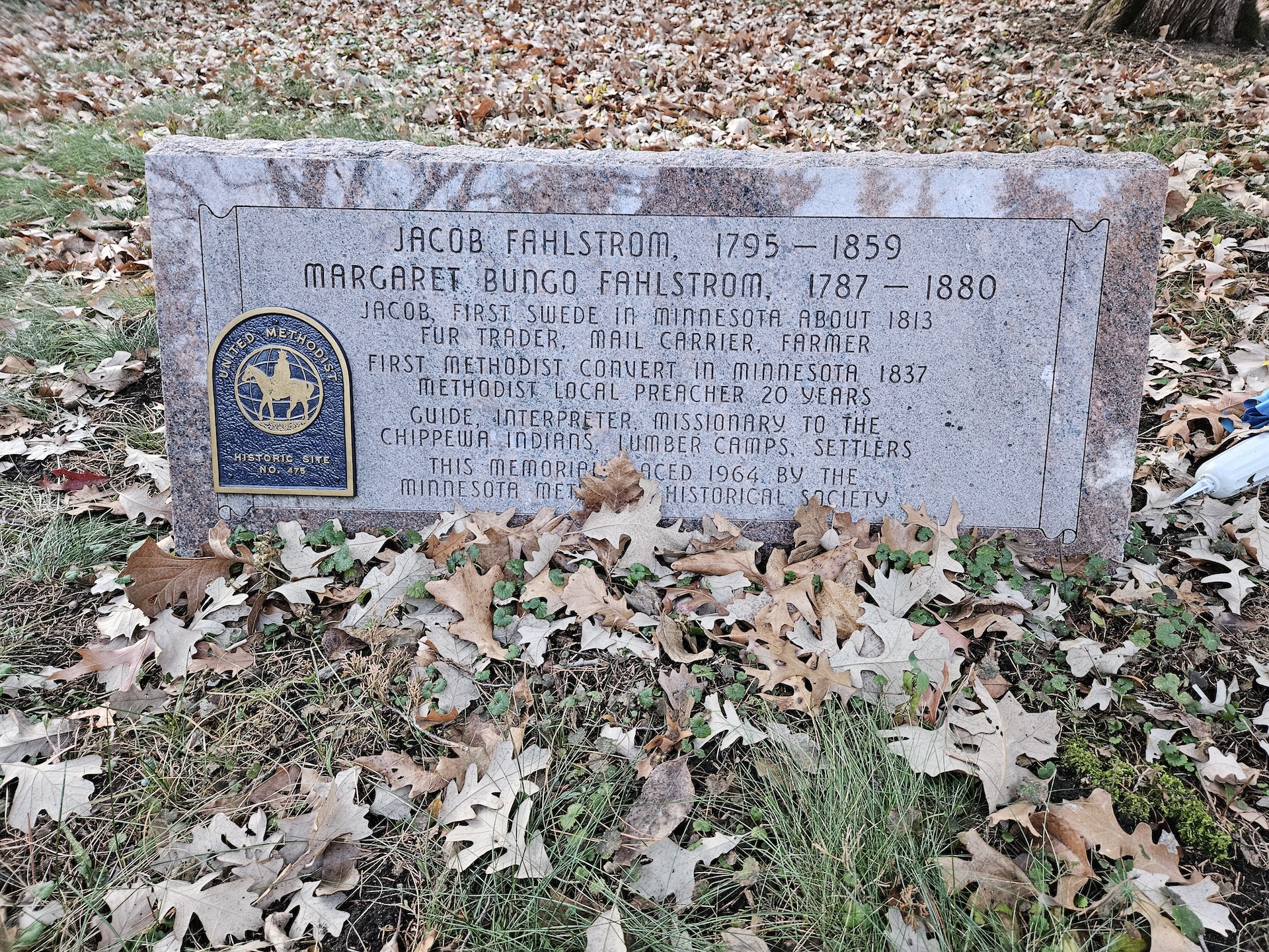 The First Swede, Part 3: St. Croix Valley, Swedish settlers, into the ...
